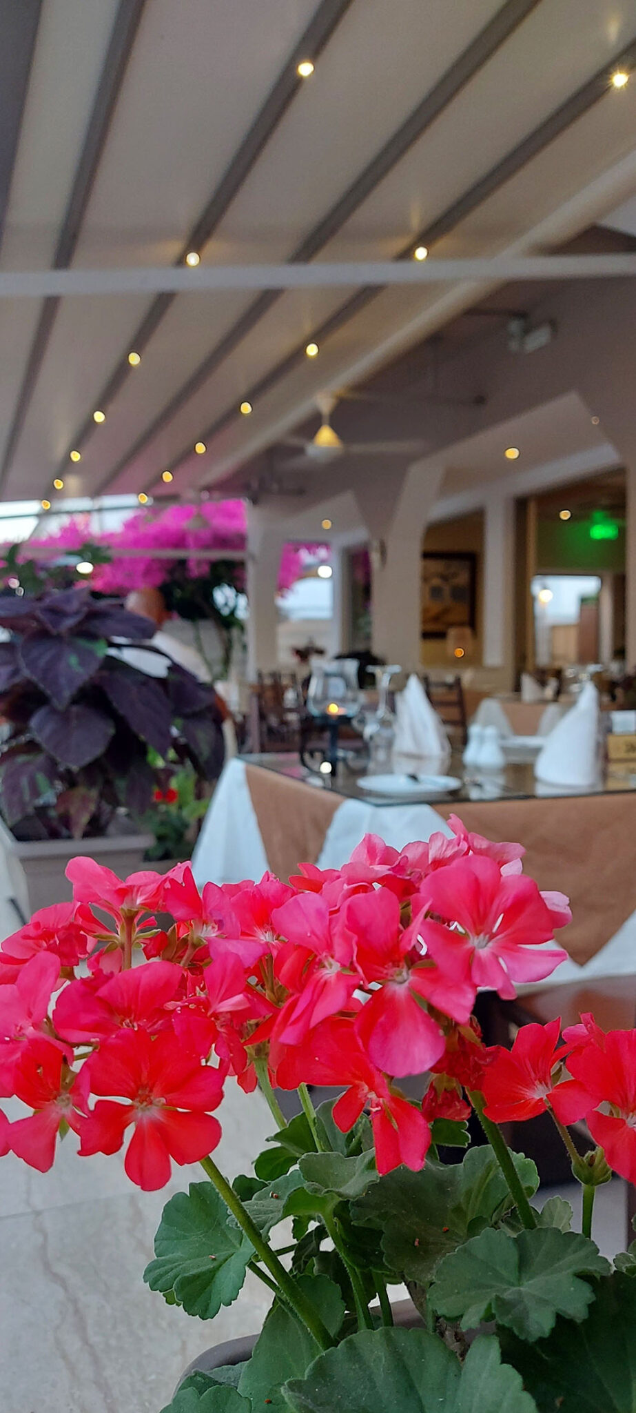 Gallery - Michaels House Cyprus